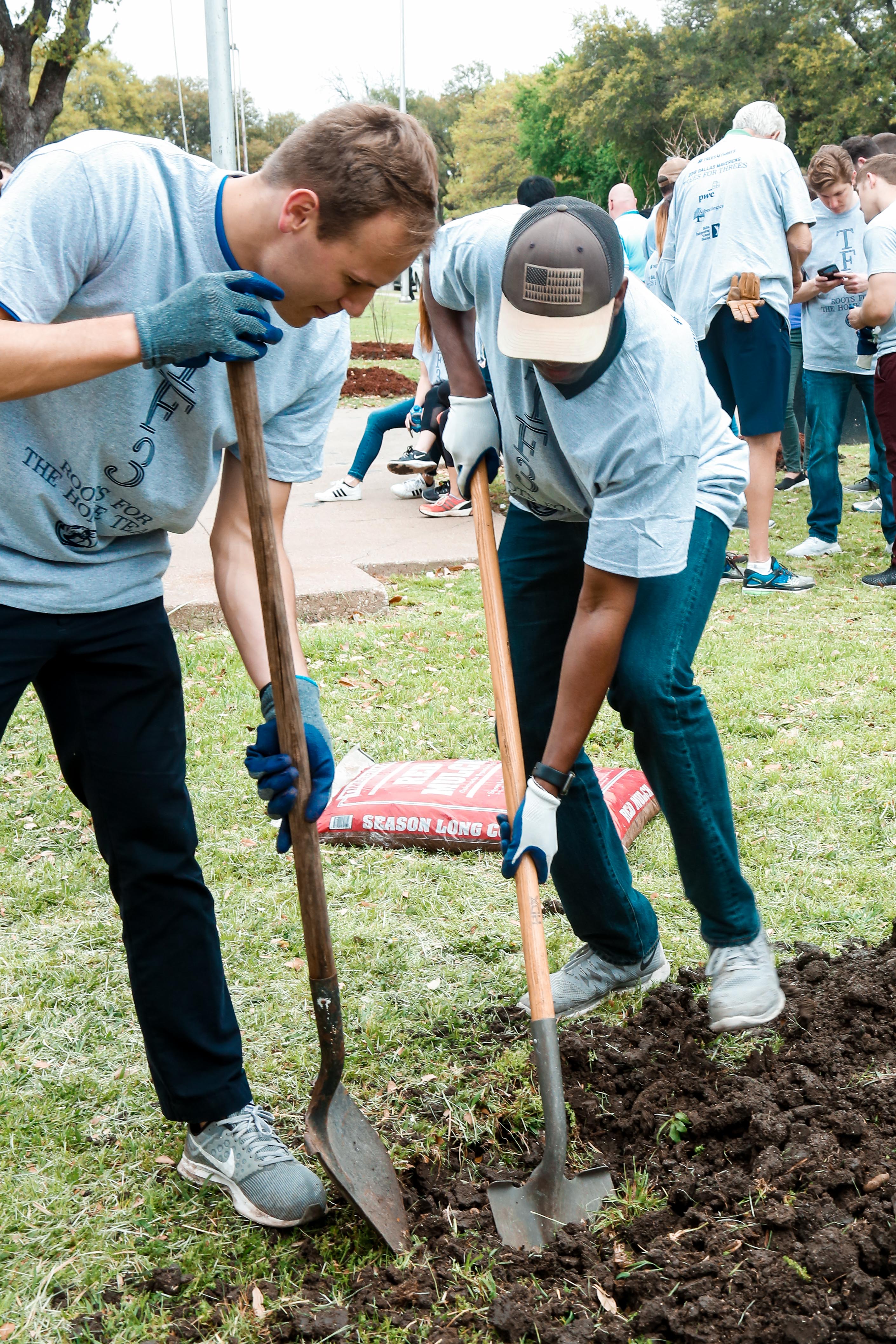 Photos from the “Threes for Trees Planting March 29, 2019”